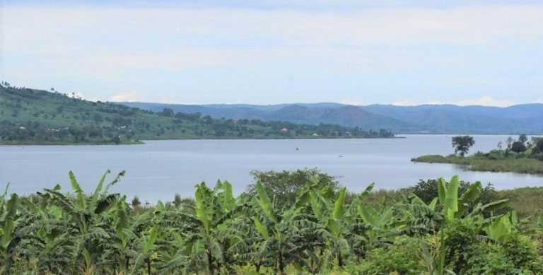 SALINE AGRICULTURE: How Uganda’s Water-Stressed Communities Utilize ...