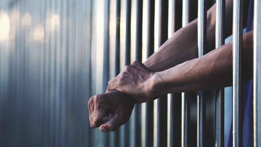 The Power of Ex-Convict Rehabilitation In Crime Reduction - Insight ...