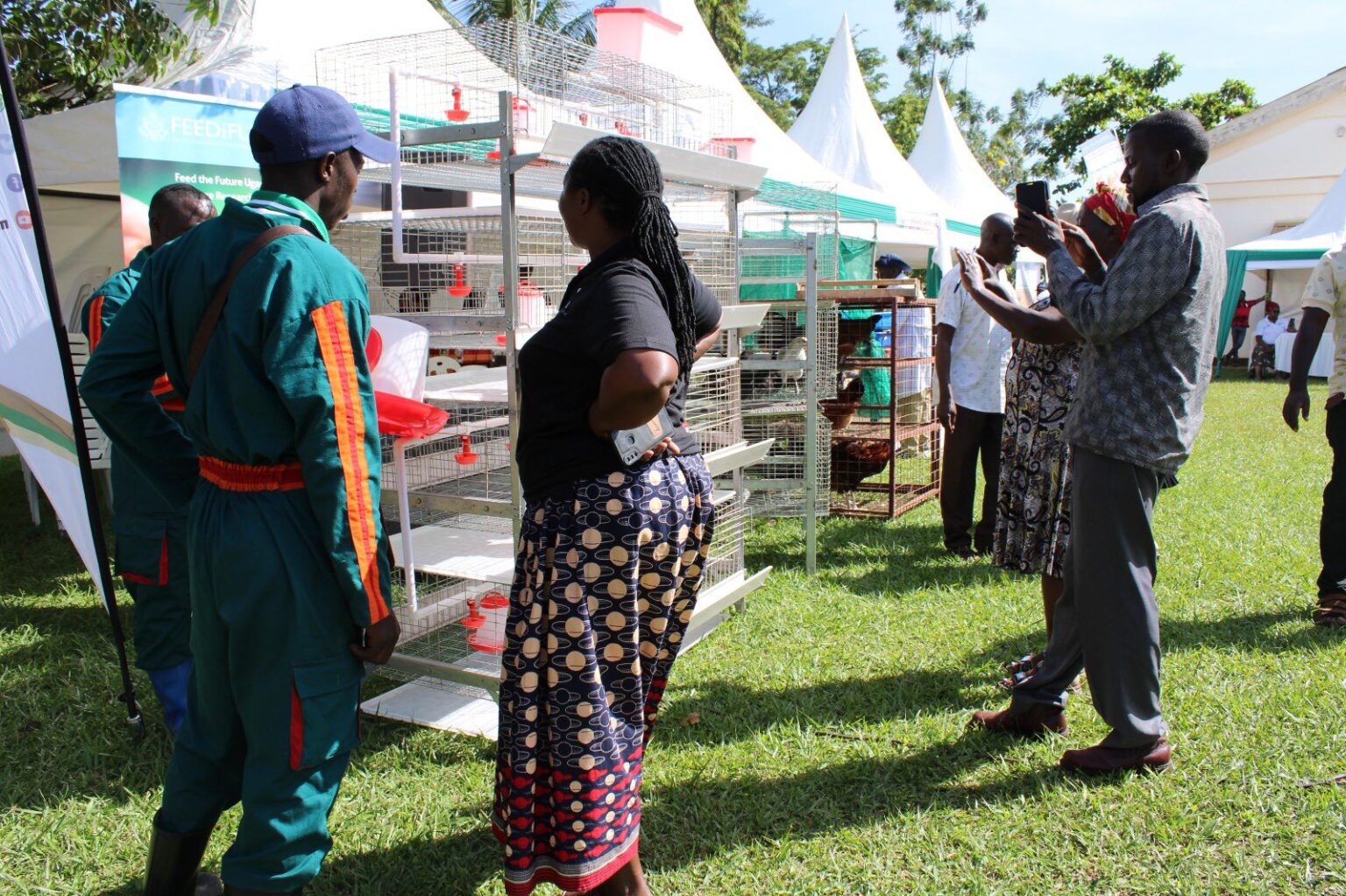 MUZARDI Enhanced Indigenous Chicken Hits Ugandan Poultry Market ...